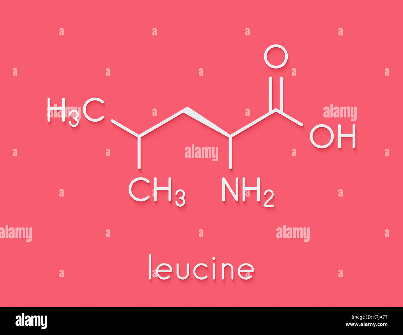 Leucine (l-leucine, Leu, L) amino acid molecule. Skeletal formula Stock ...