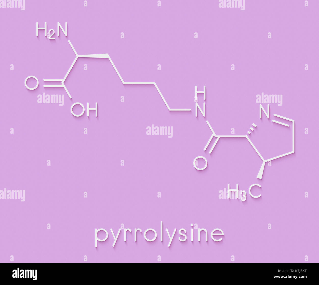 Pyrrolysine (l-pyrrolysine, Pyl, O) amino acid molecule. Skeletal ...