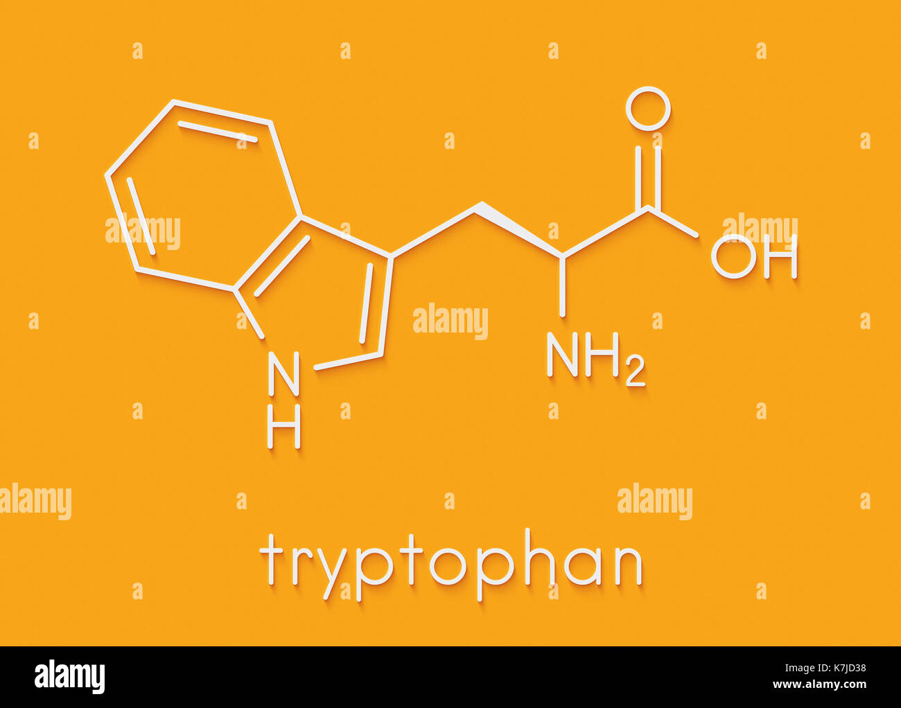 Tryptophan (l-tryptophan, Trp, W) amino acid molecule. Skeletal formula ...