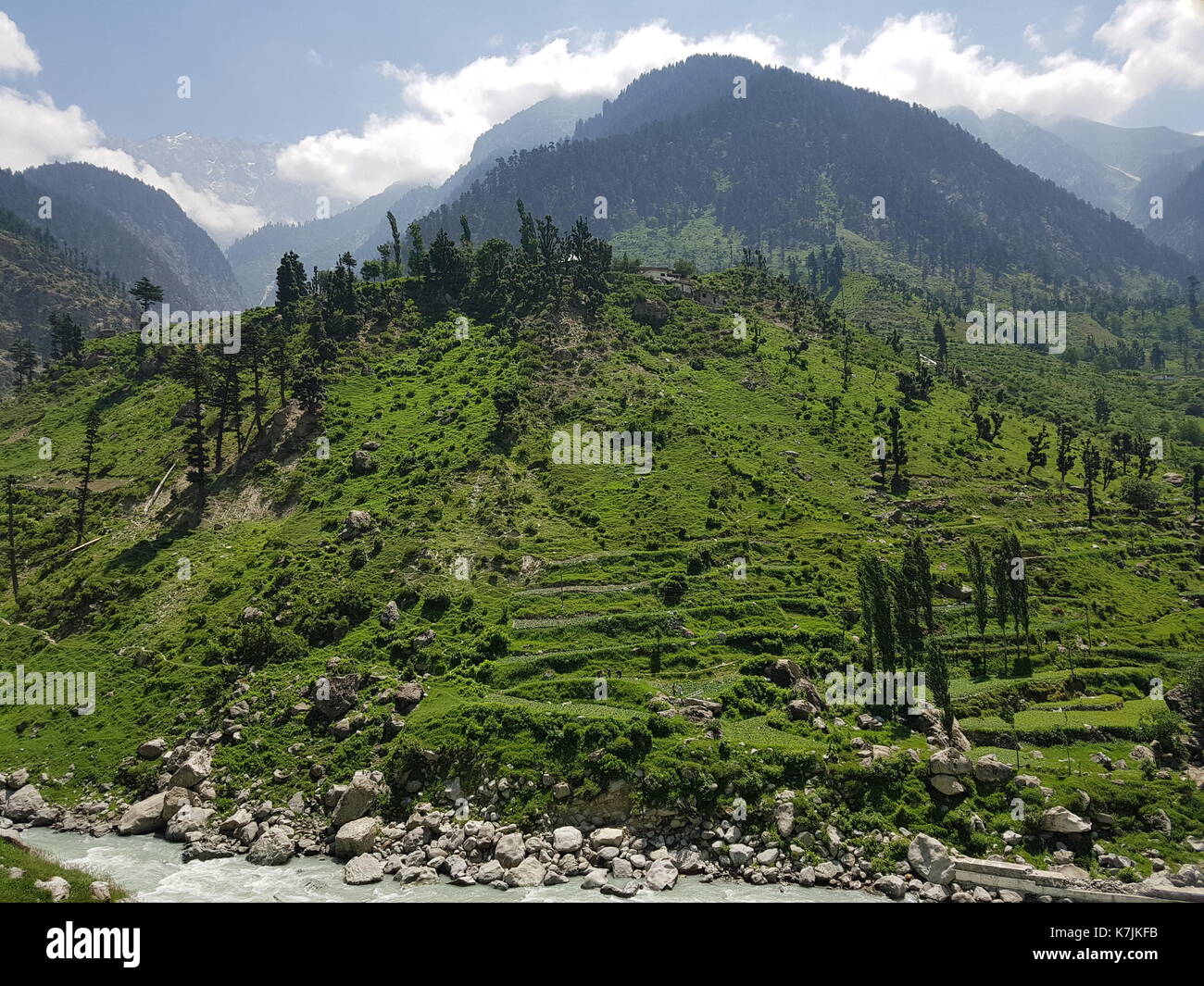 Pakistan swat trees hi-res stock photography and images - Alamy