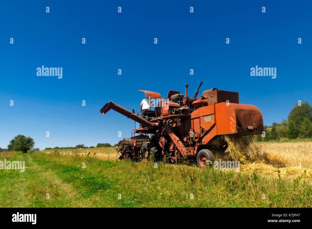 Old red combine harvester working in a wheat field Stock Photo - Alamy