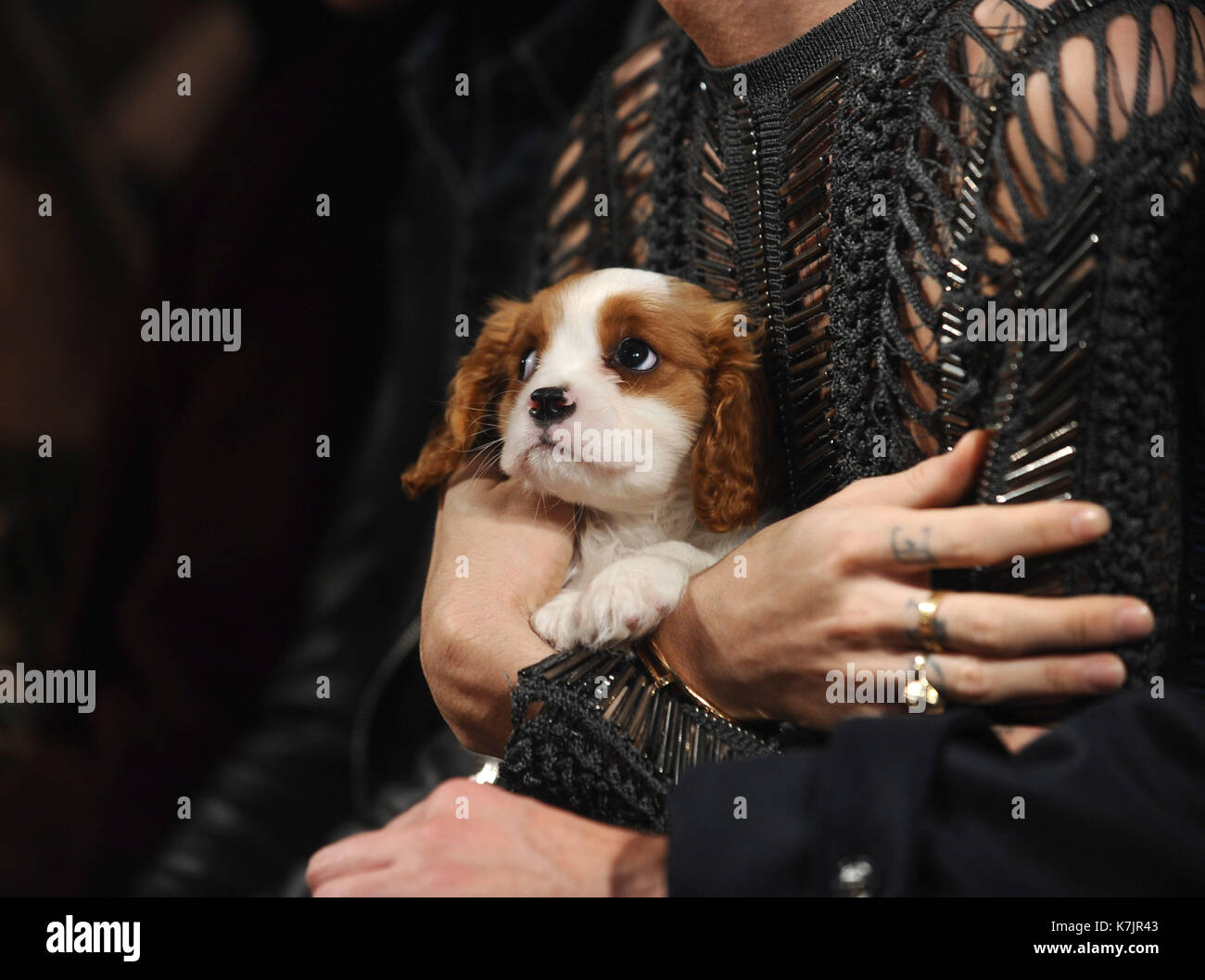 Photo Must Be Credited ©Kate Green/Alpha Press 079965 20/02/2016 Kyle ...