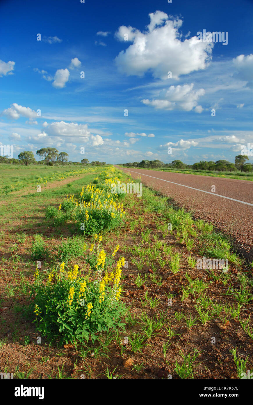 Straight bitumen road in outback Western Queensland Stock Photo - Alamy
