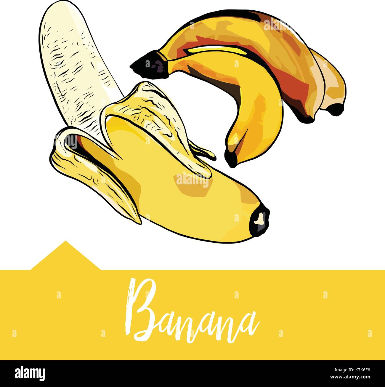 Vector illustration of a banana Stock Vector Image & Art - Alamy