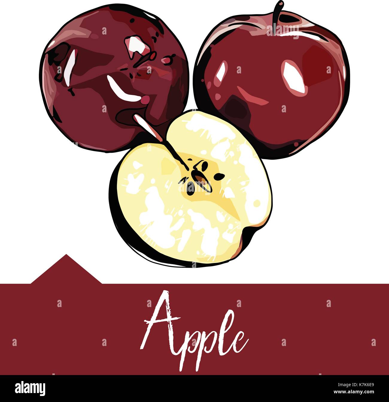 Vector illustration, an apple in hand drawn graphics Stock Vector Image ...