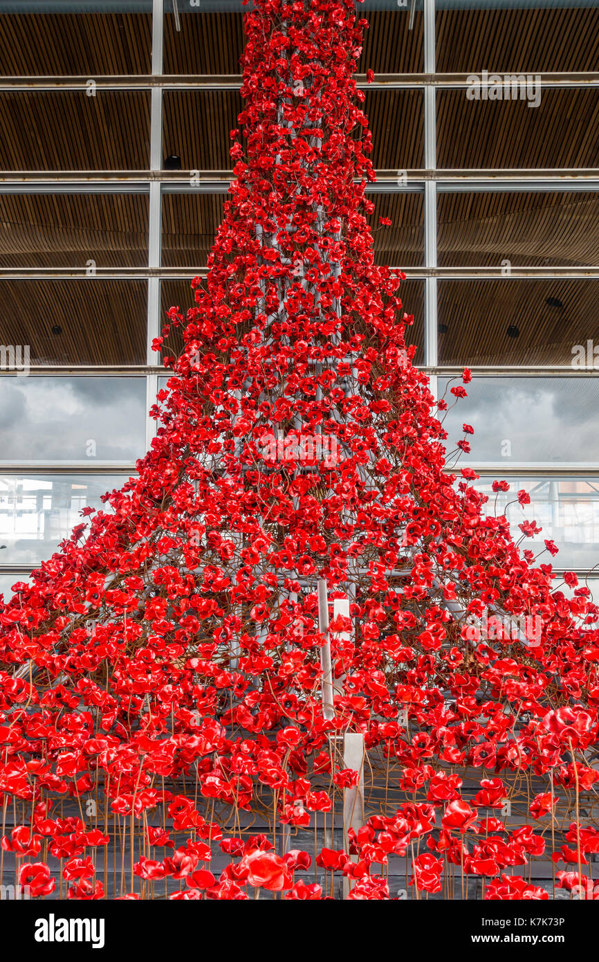 Remembrance day poppy cascade hi-res stock photography and images - Alamy