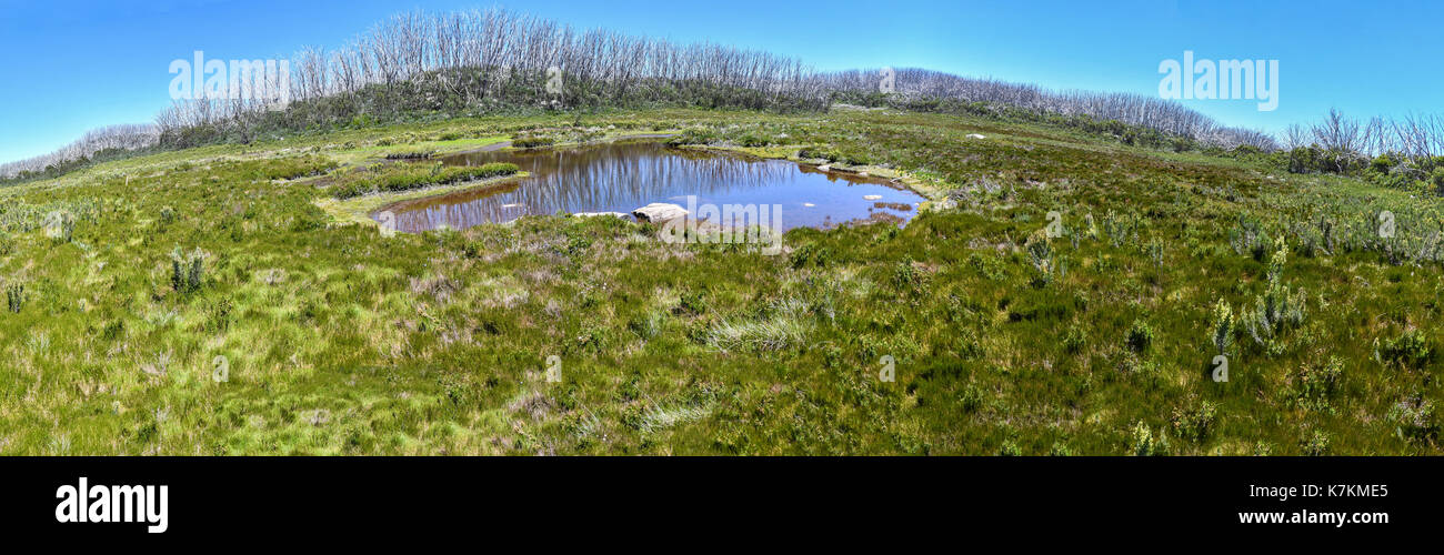Lake Mountain, Alpine Meadow Bog Stock Photo - Alamy
