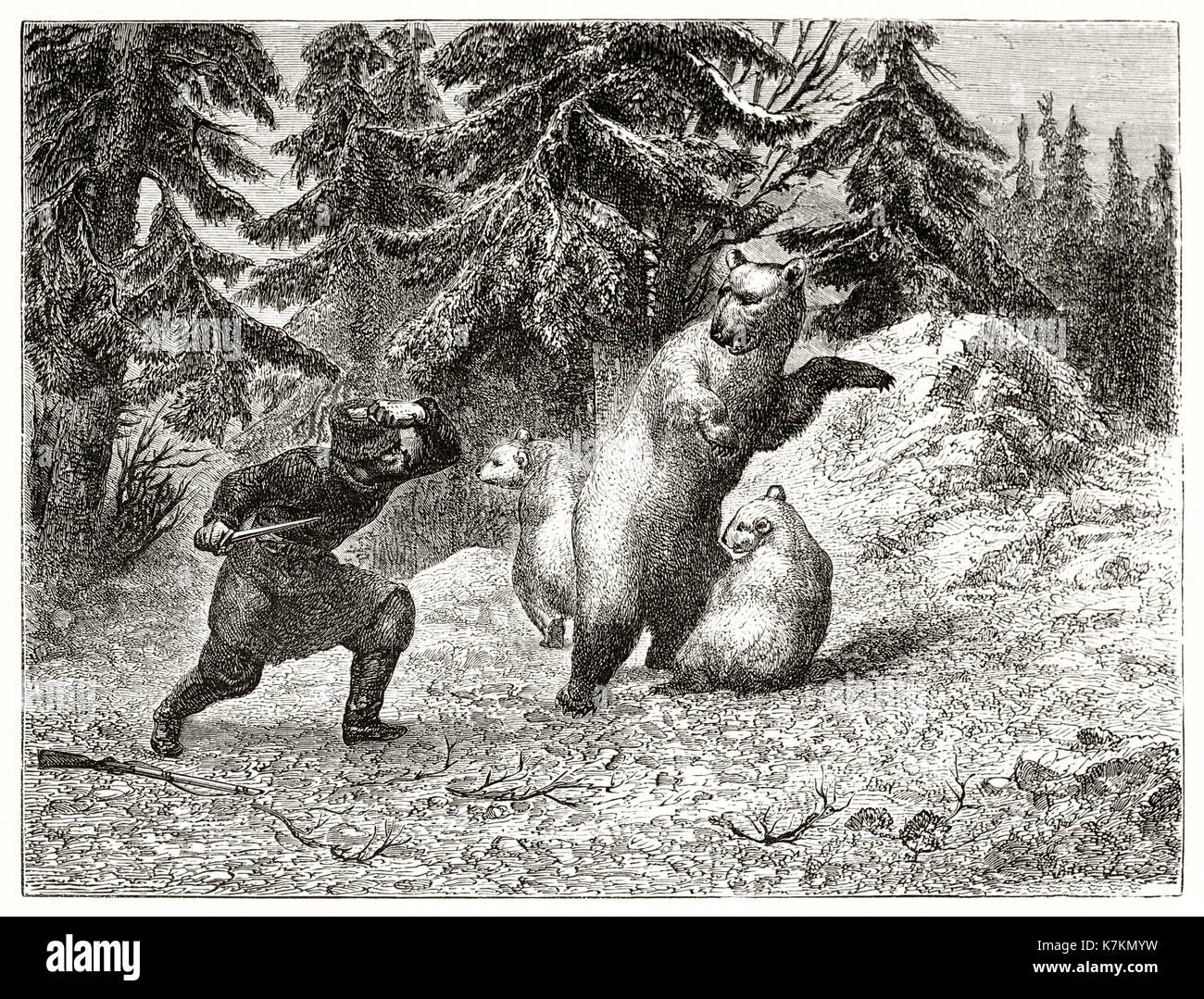 Hunt hunting bear hunt engraving hi-res stock photography and images ...