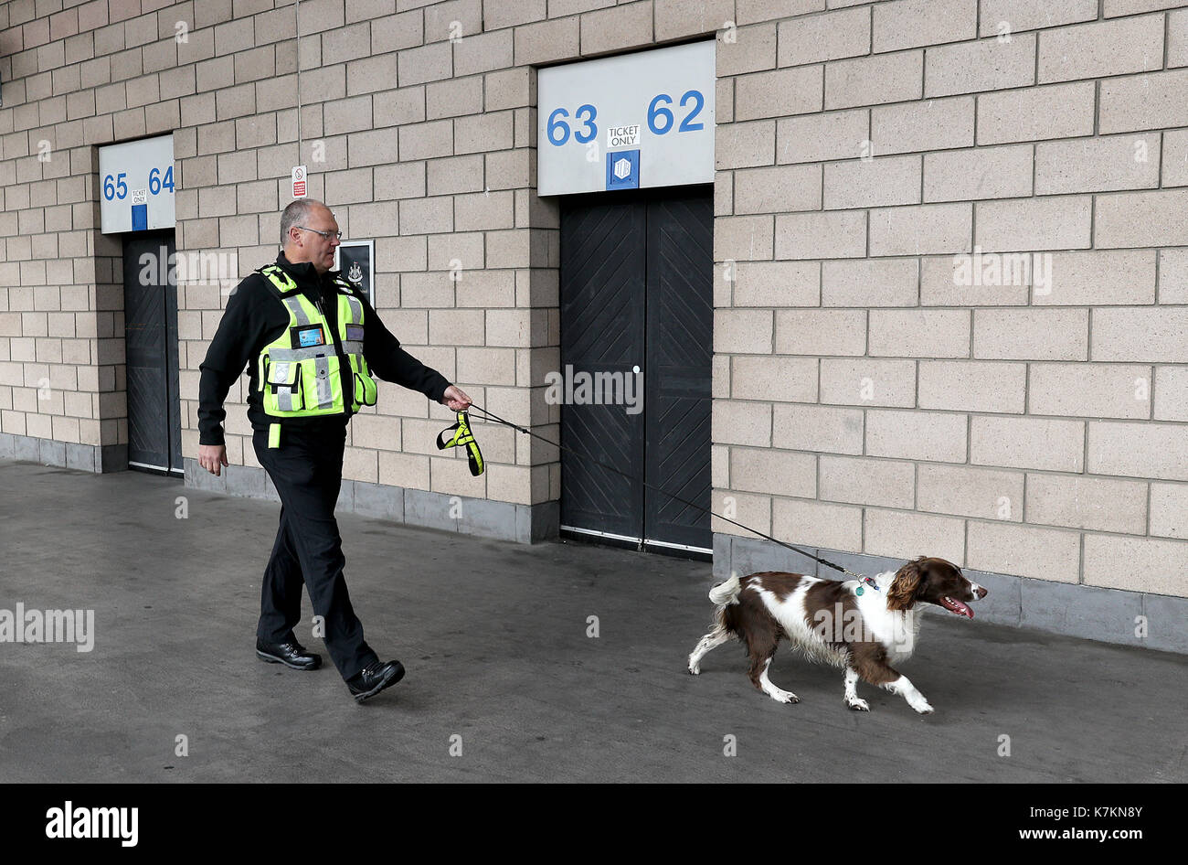 A sniffer dog at work before the Premier League match at St James' Park ...