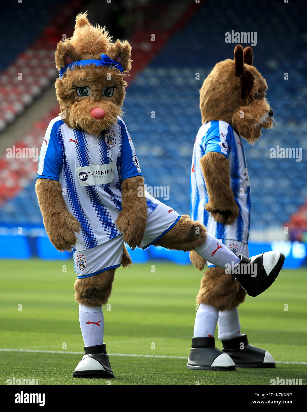 Huddersfield Town mascots Tilly the Terrier (left) and Terry the ...