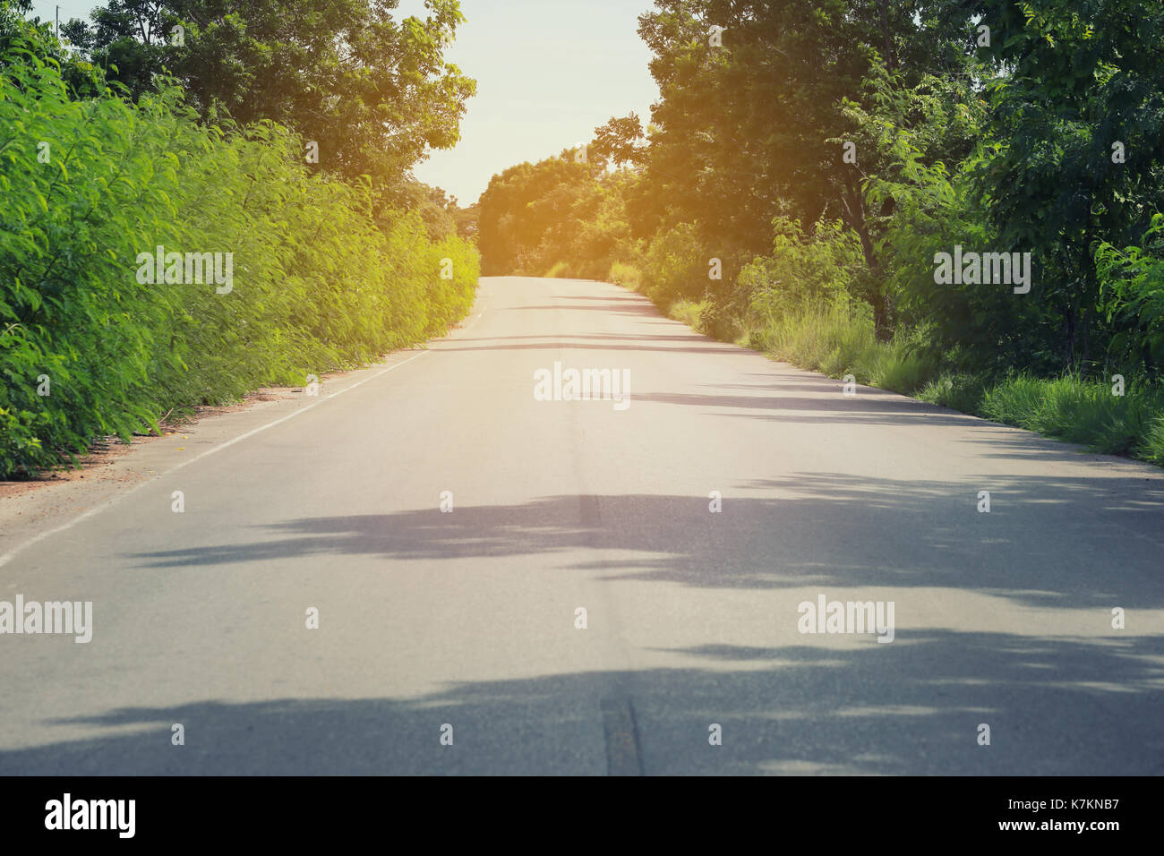 Road with trees at both sides hi-res stock photography and images - Alamy