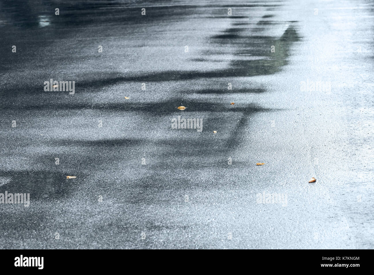 view of street pavement wet after rain with water puddles Stock Photo ...