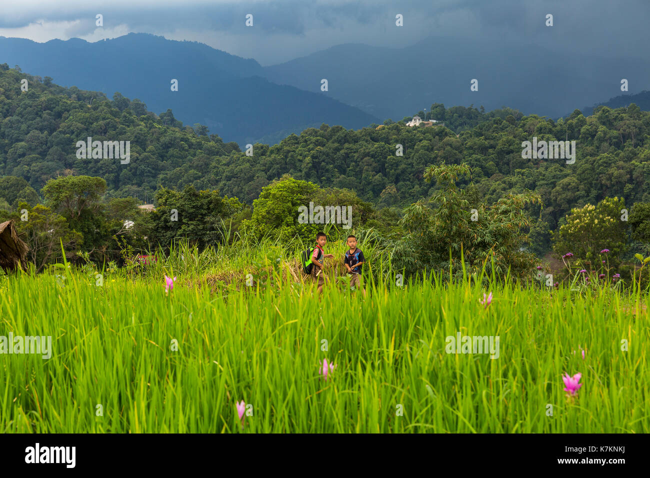 Mon village hi-res stock photography and images - Alamy