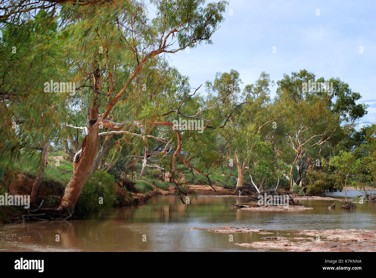 Flooded creek after drought breaking rain, Bladensberg National Park ...