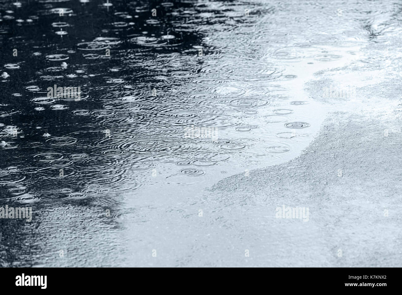 puddle with bubbles and water circles during heavy rain. rainy ...