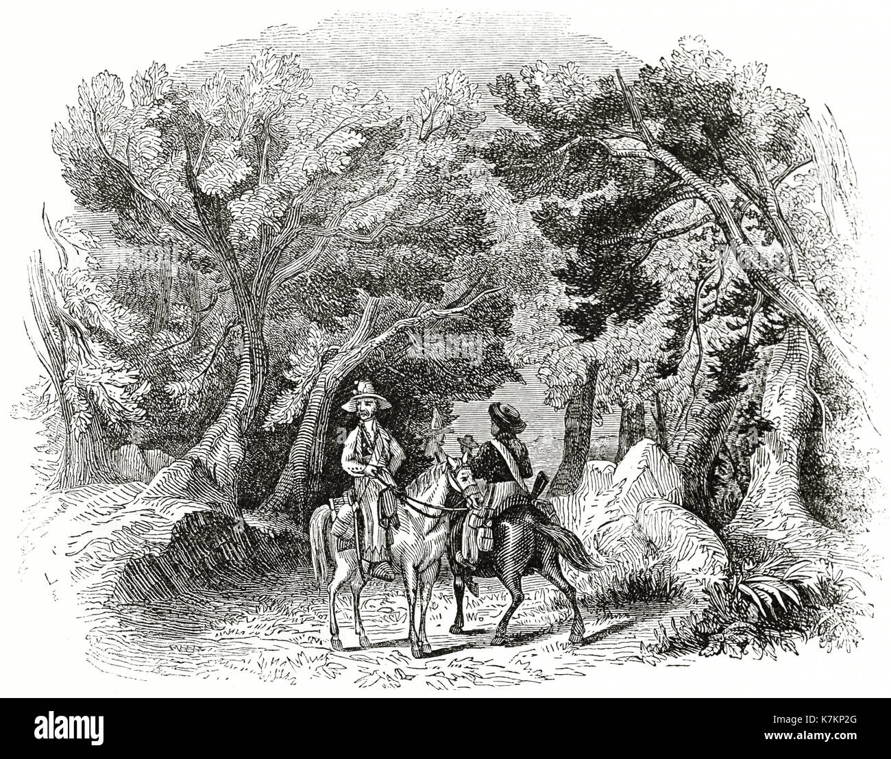 Smuggling hi-res stock photography and images - Alamy