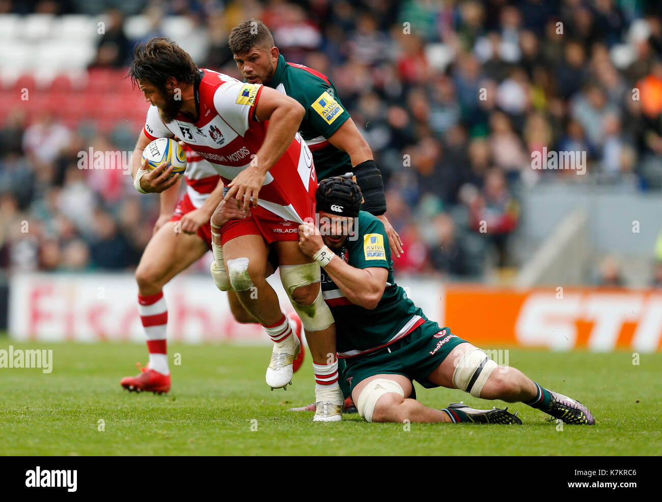 Leicester tigers and gloucesters hi-res stock photography and images ...