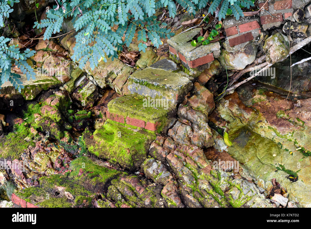 Snap away hi-res stock photography and images - Alamy