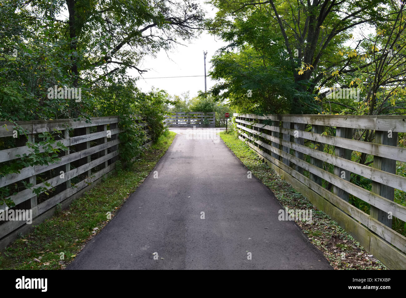Path in the woods Stock Photo - Alamy