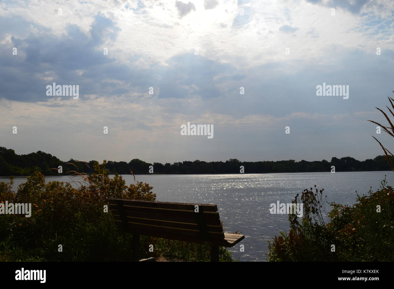 Bench at the lake shoreline Stock Photo - Alamy