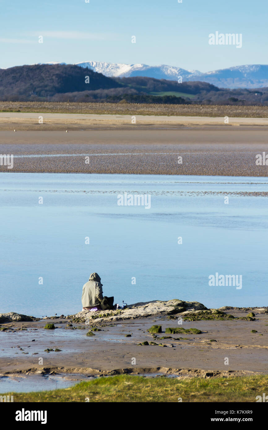 An angler (fisherman) fishing with rod and line in the River Kent ...