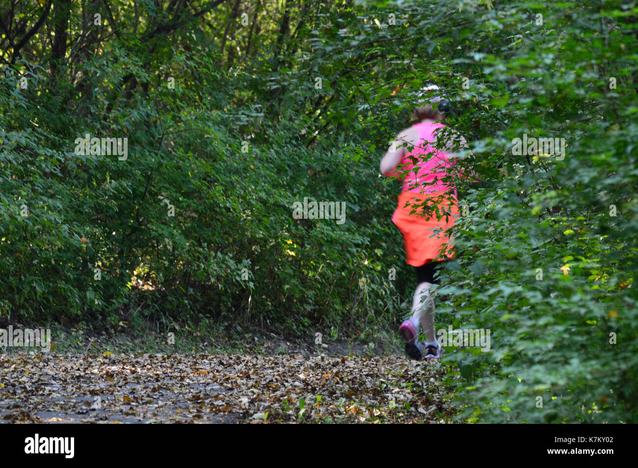 Trail runner in the woods Stock Photo - Alamy