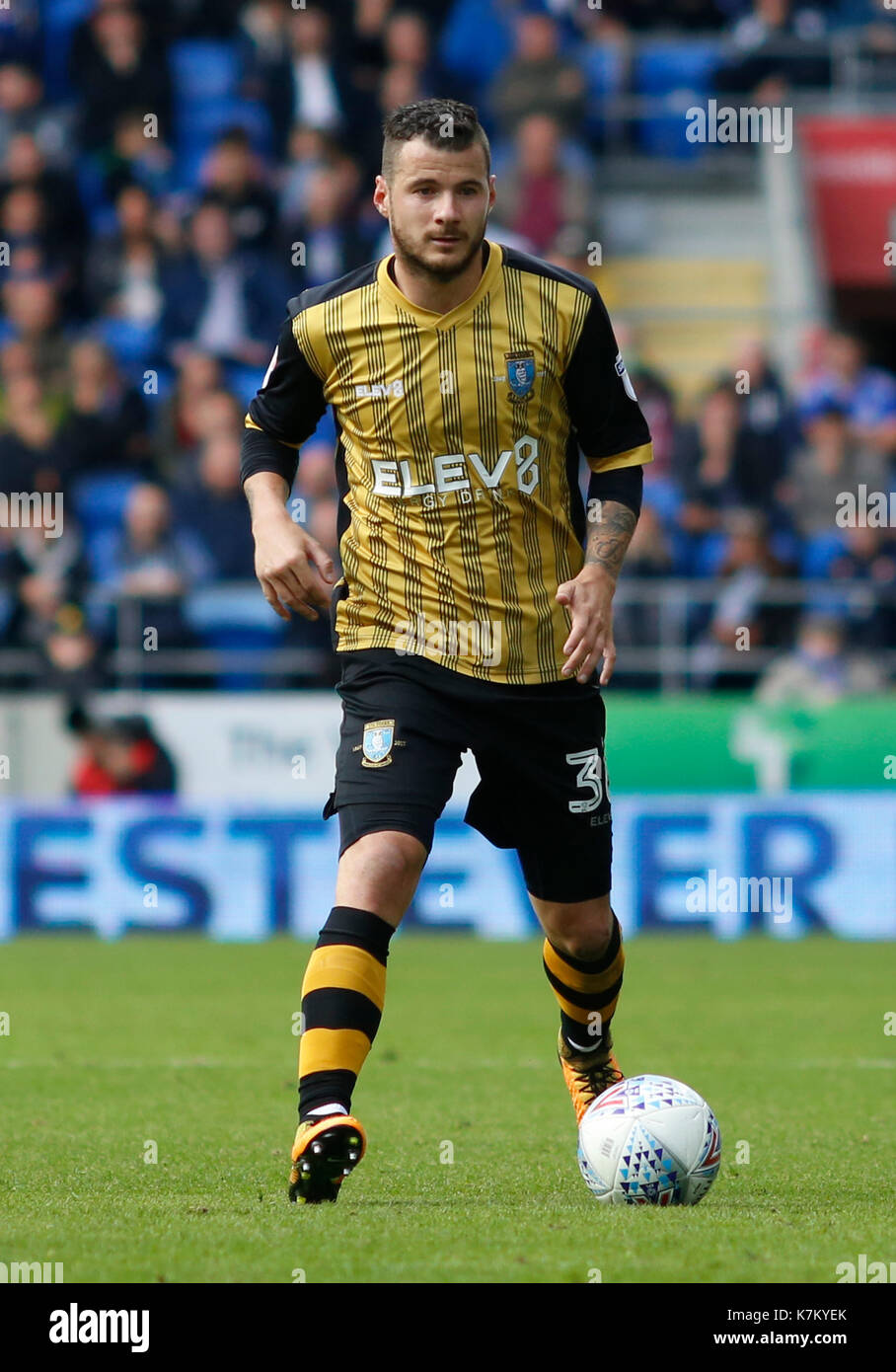 Daniel pudil hi-res stock photography and images - Alamy