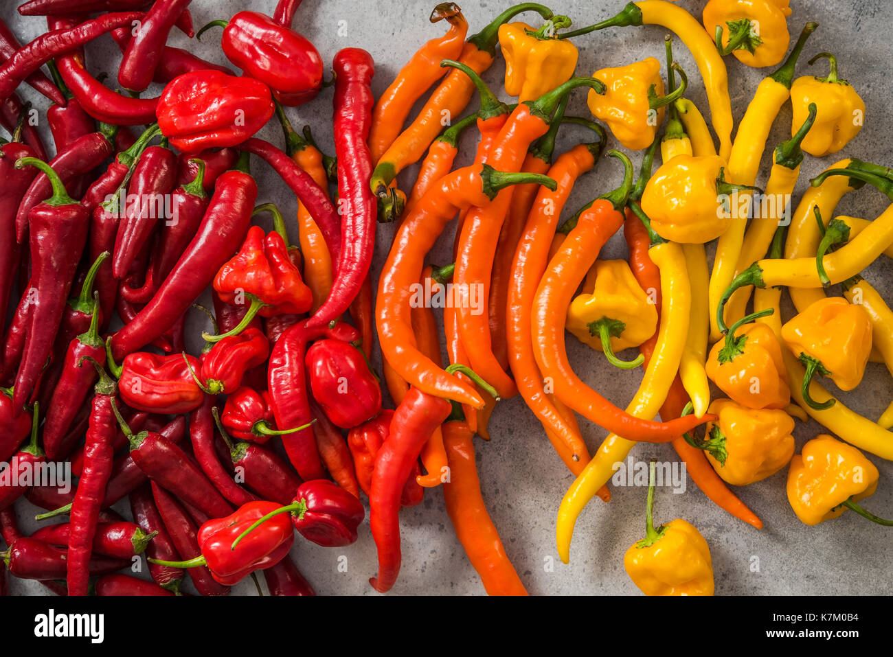 Colorful vibrant hot chili peppers Stock Photo - Alamy