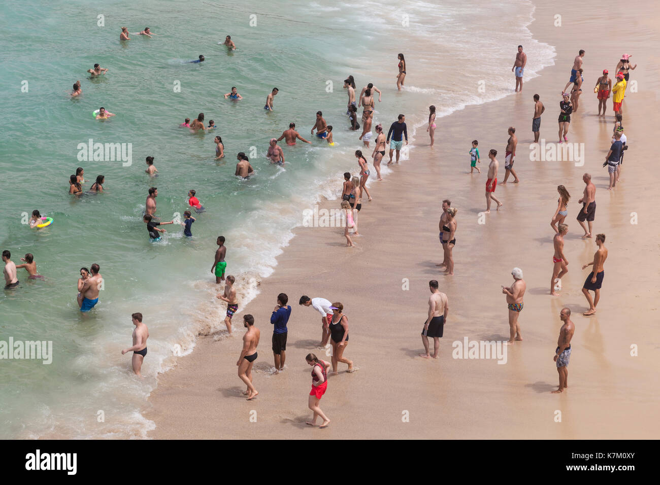 Top view swimmers in hi-res stock photography and images - Alamy