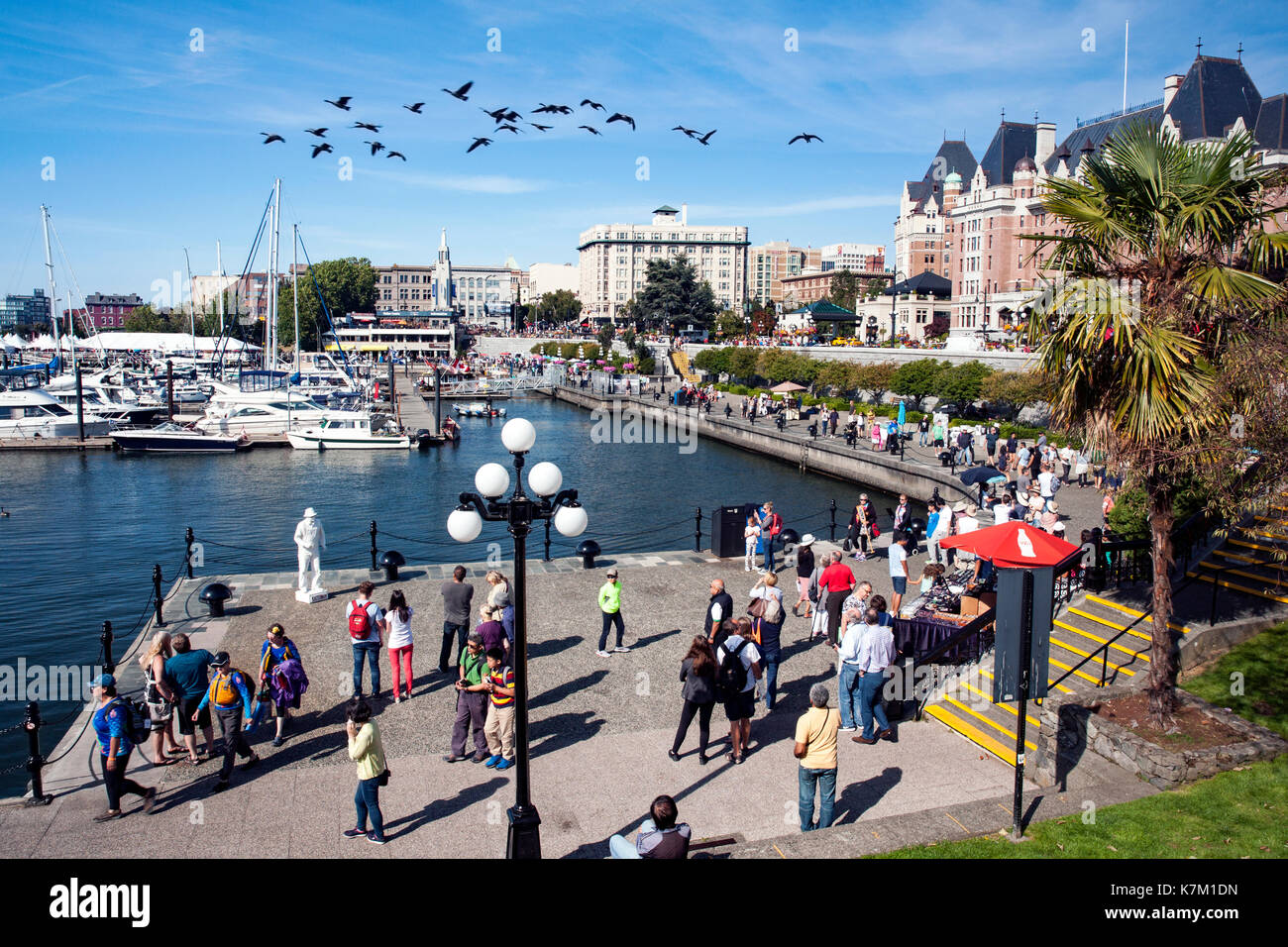 Inner Harbour - Victoria, Vancouver Island, British Columbia, Canada ...