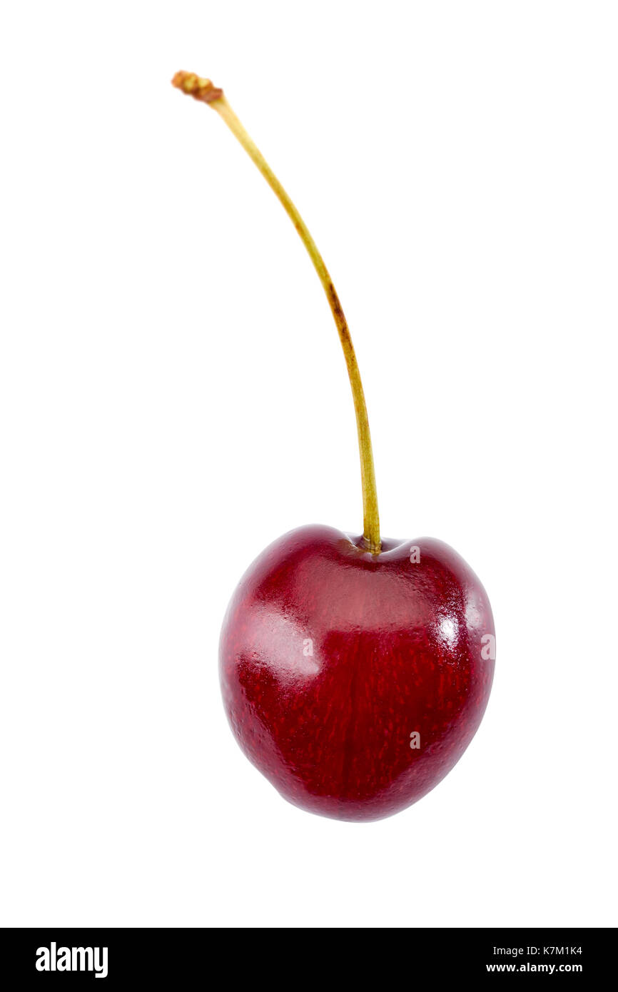 White background color hi-res stock photography and images - Alamy