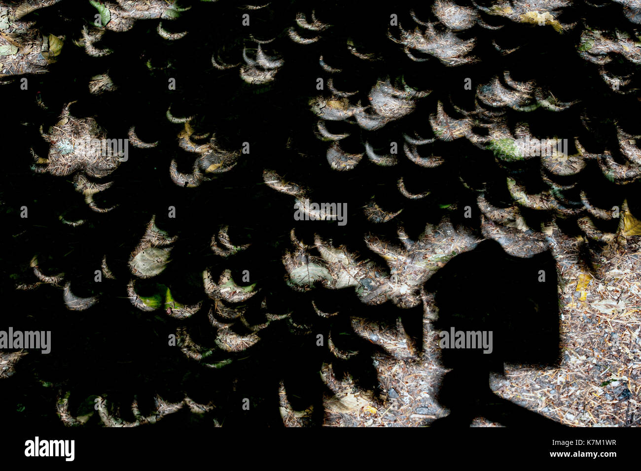 Crescent shapes hi-res stock photography and images - Alamy