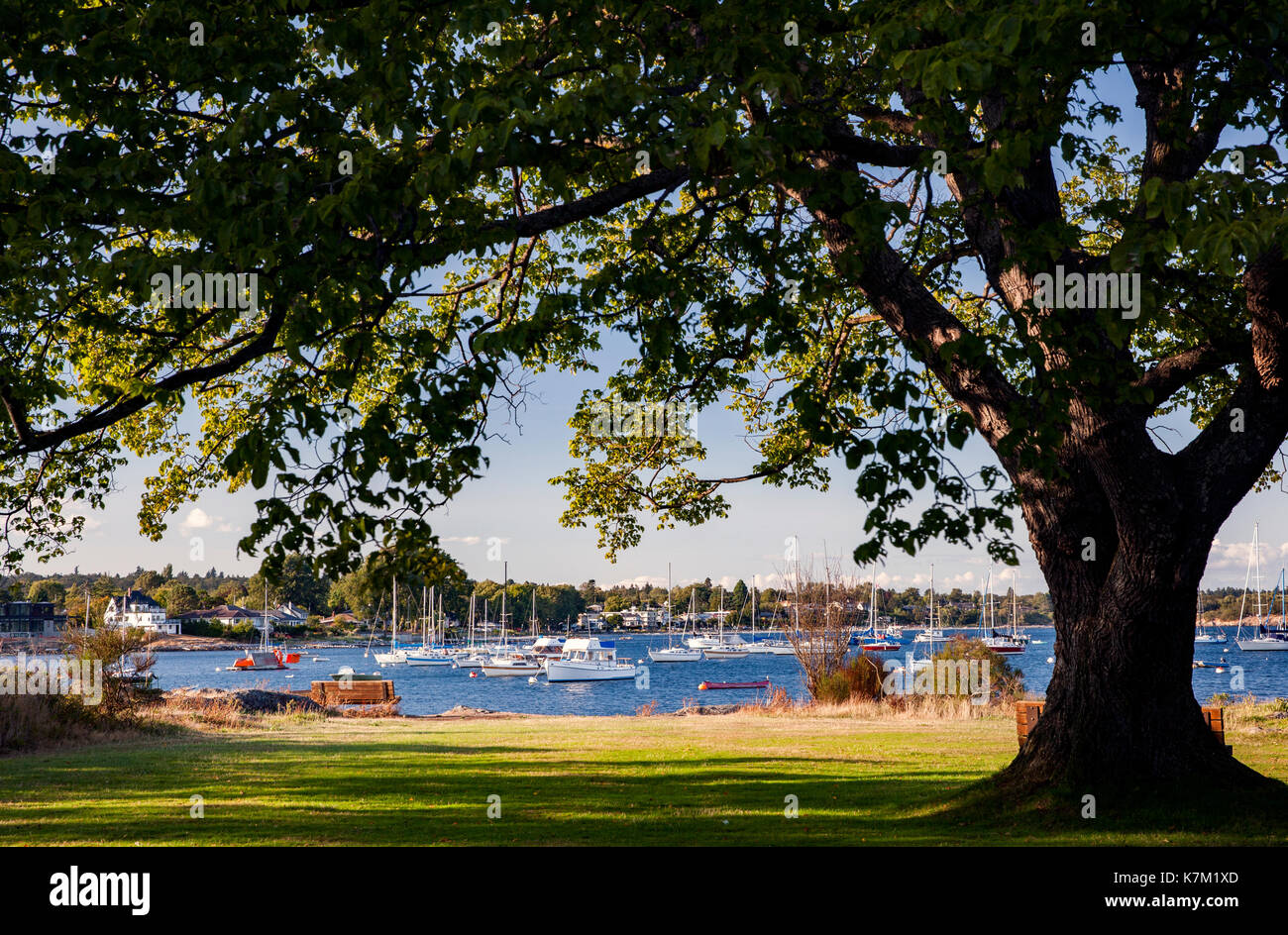 Queen's Park near Oak Bay Marina - Victoria, Vancouver Island, British ...