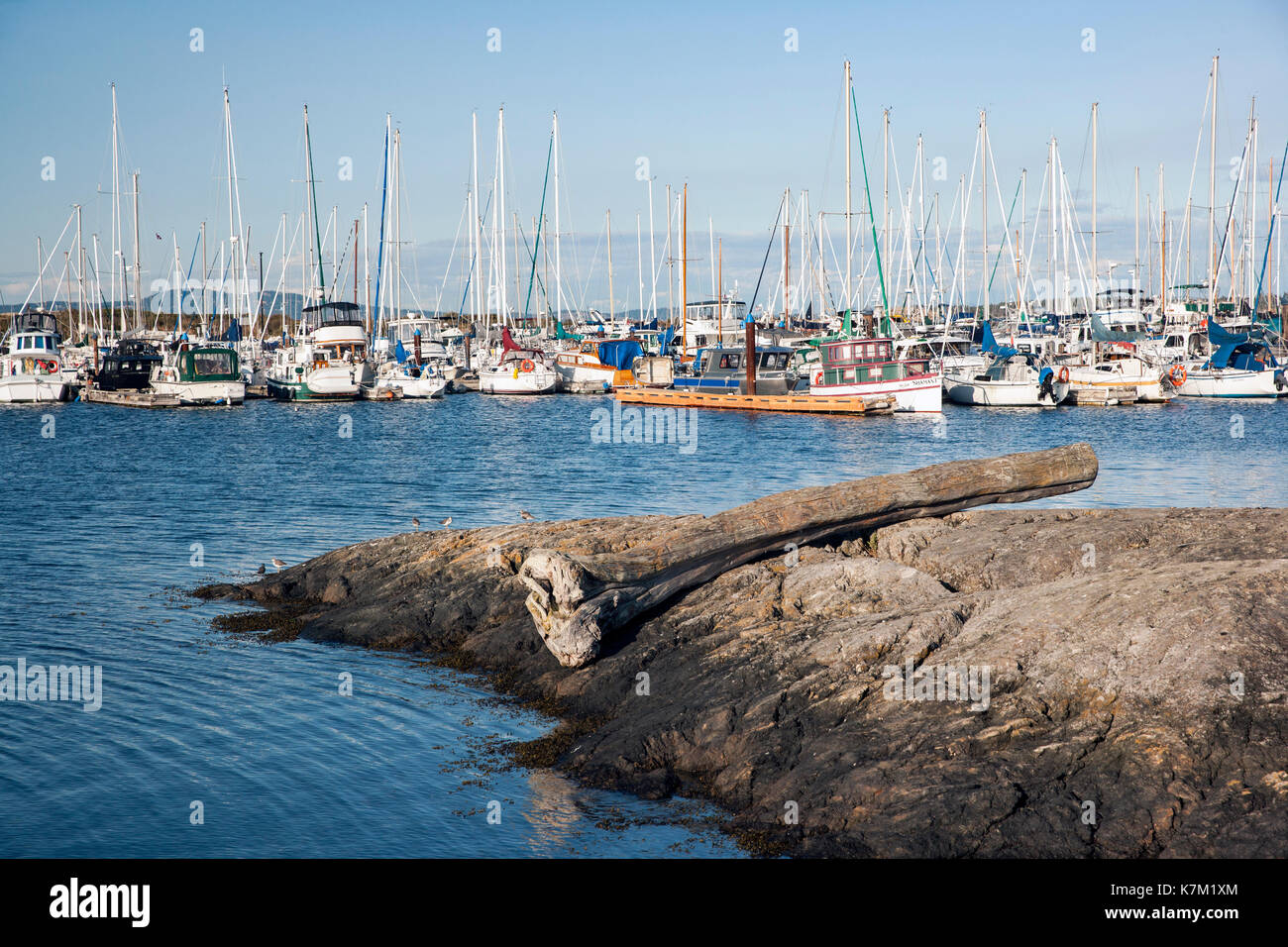 Oak Bay Marina - Victoria, Vancouver Island, British Columbia, Canada ...