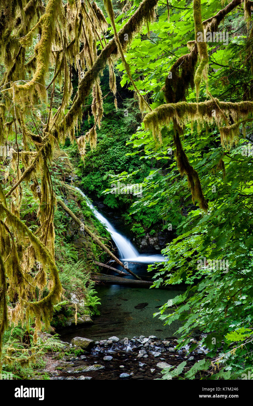 Goldstream Falls - Goldstream Provincial Park; Victoria, Vancouver ...