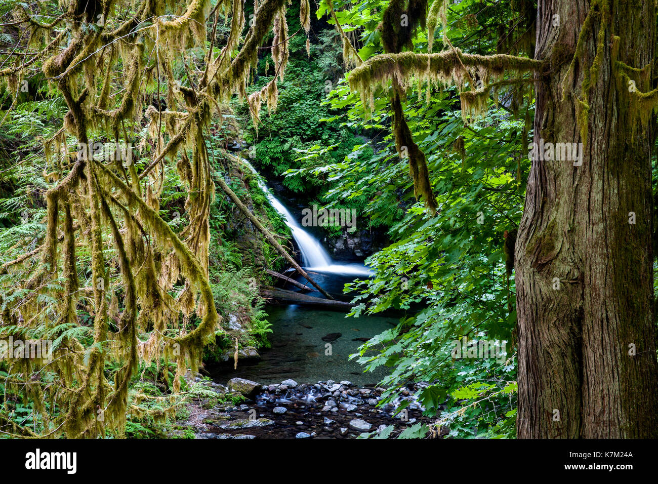 Upper goldstream falls hi-res stock photography and images - Alamy