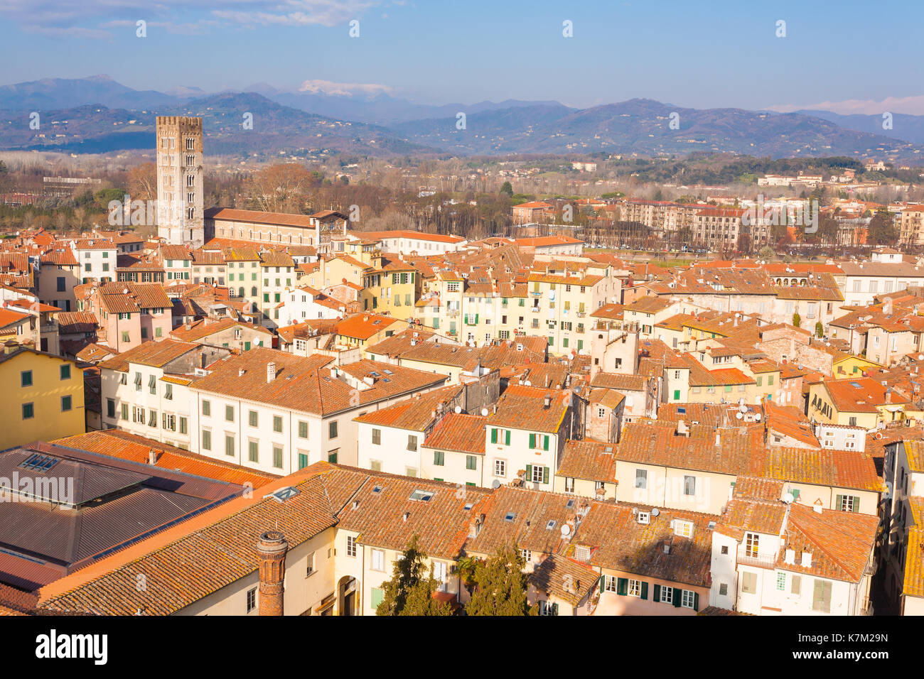 Lucca from Guinigi Tower. Italian landmark. Aerial view of Lucca Stock ...