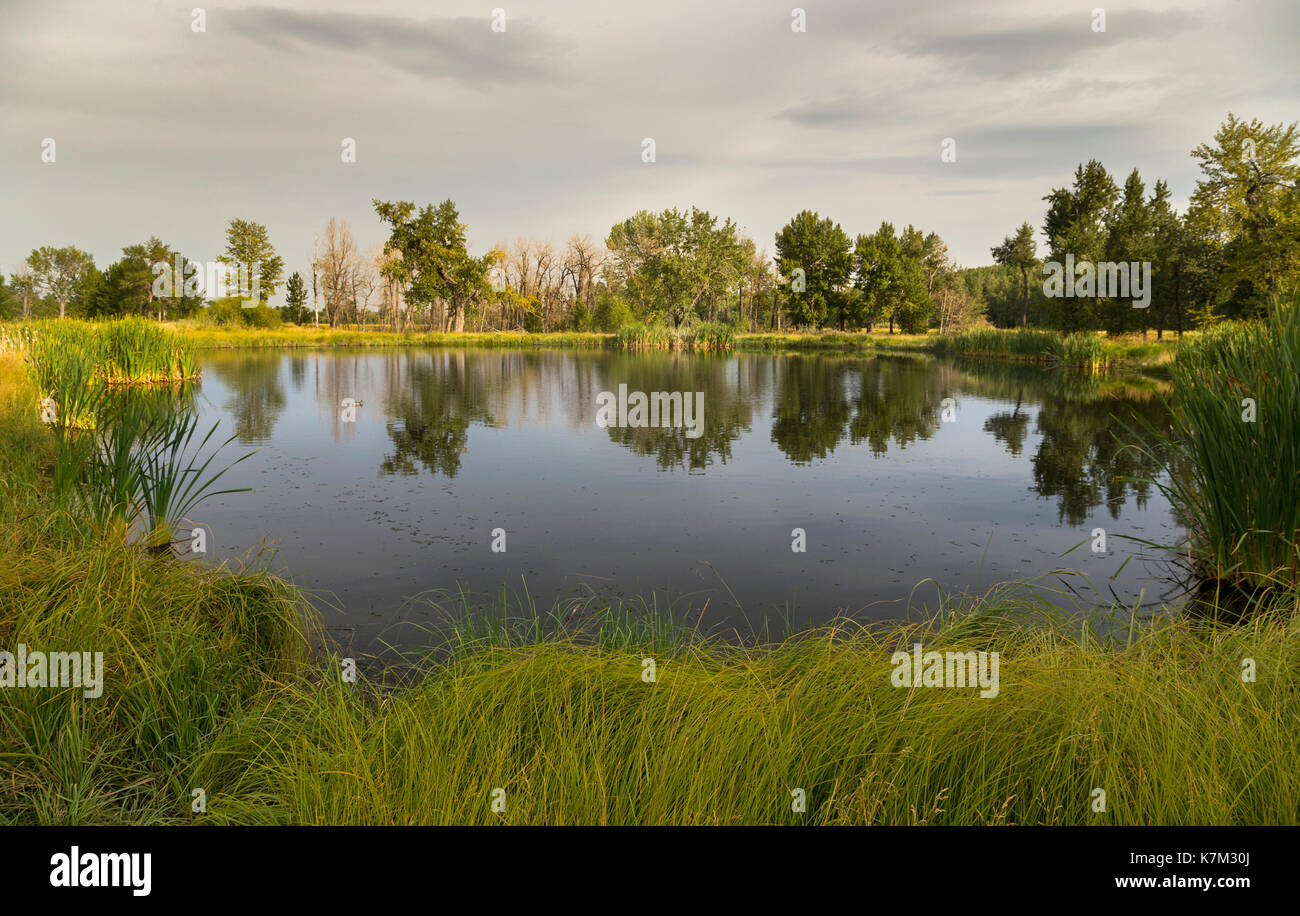 Canadian prairies grassland hi-res stock photography and images - Alamy