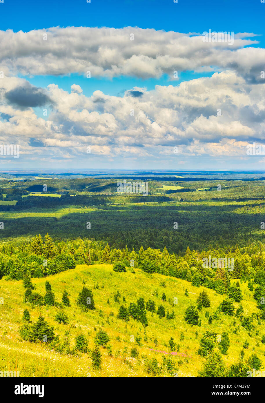Beautiful landscape view coniferous forest hi-res stock photography and ...