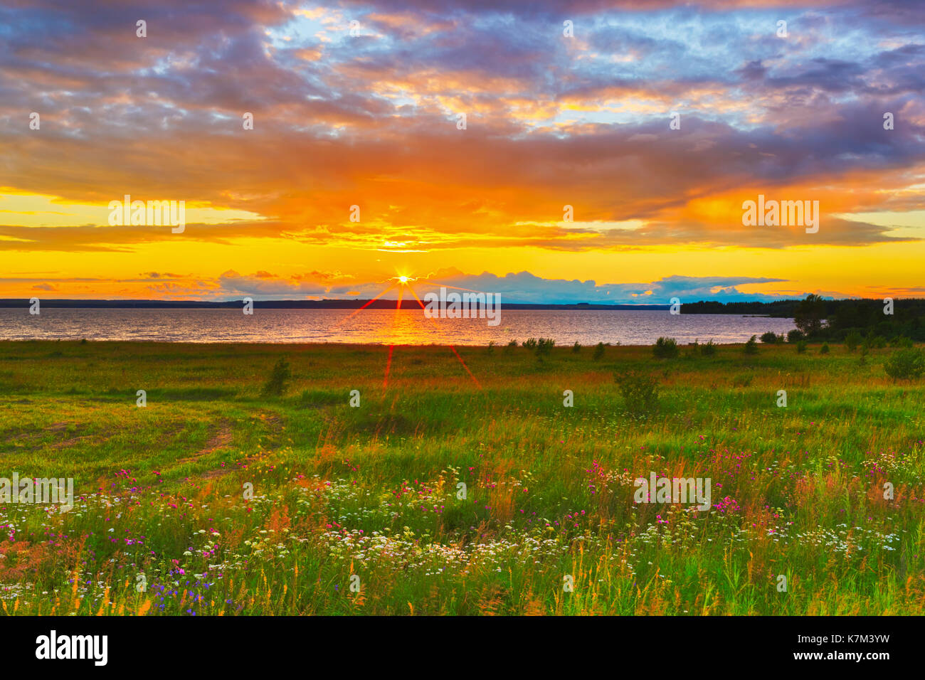 Sunset over the river Kama. Flowers meadow on the foreground Stock ...