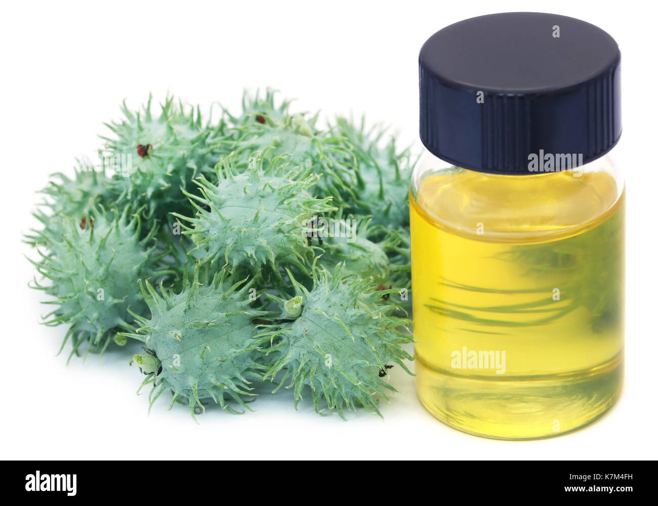 Castor oil with green beans over white background Stock Photo - Alamy
