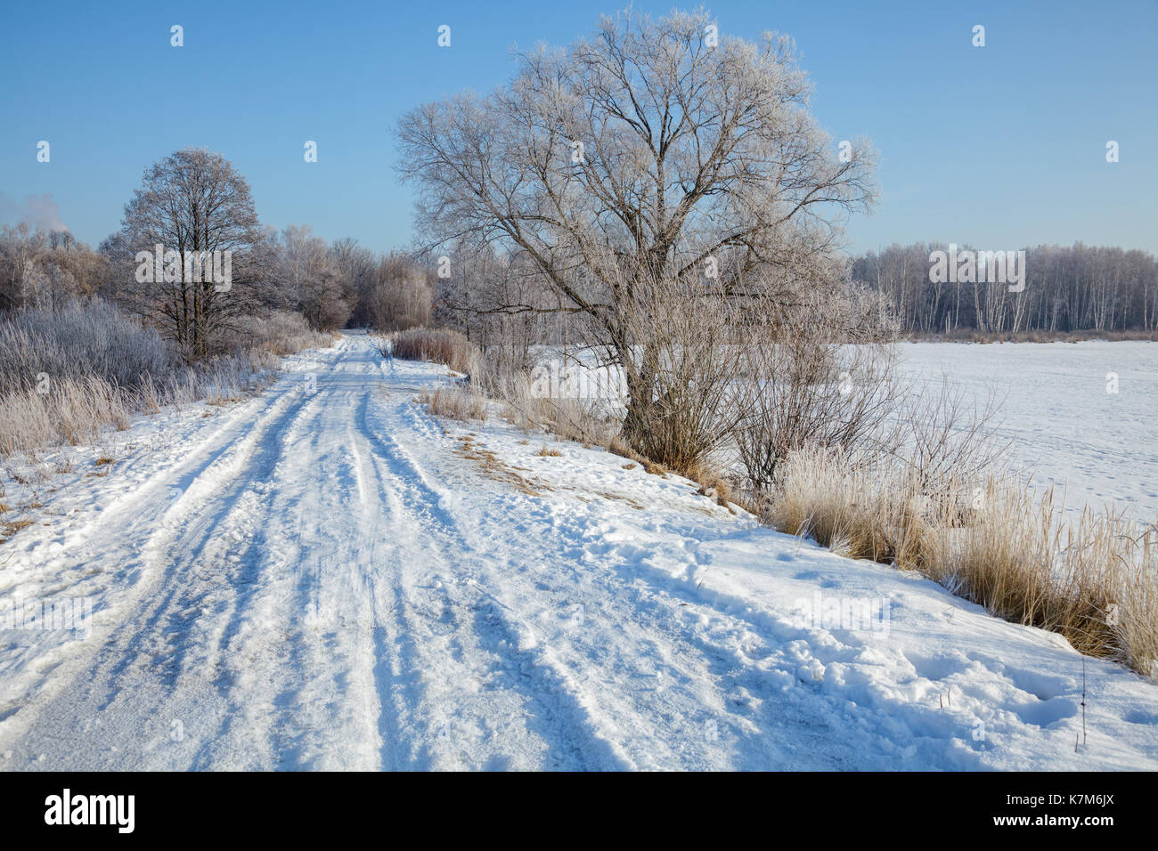 Country Road Snow Winter