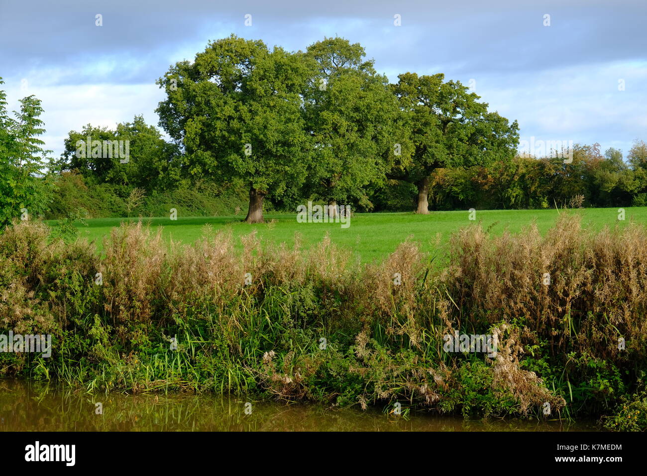 Cheshire Rural Landscape High Resolution Stock Photography and Images ...
