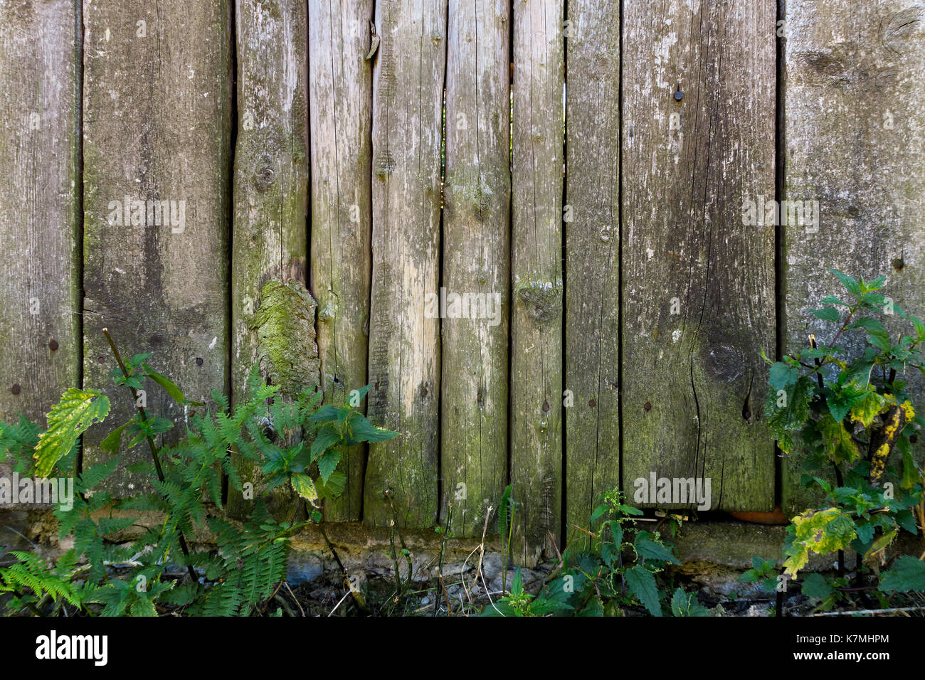 Wooden barn wall hi-res stock photography and images - Alamy