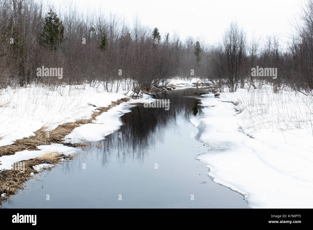 Stream and woods hi-res stock photography and images - Alamy