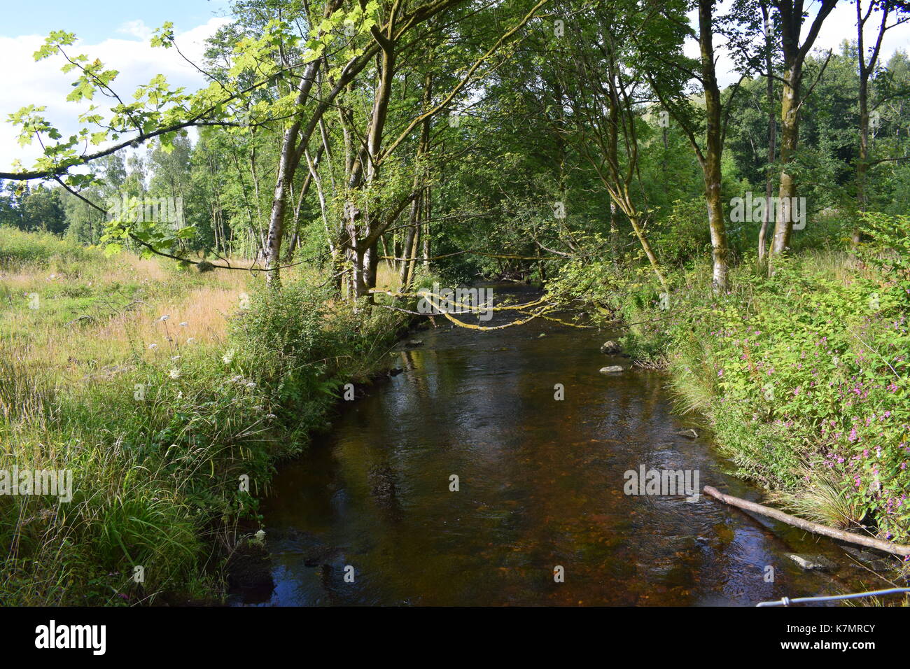 Strathblane hi-res stock photography and images - Alamy