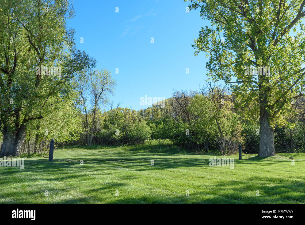 Sunny sunshine pleasant hi-res stock photography and images - Alamy