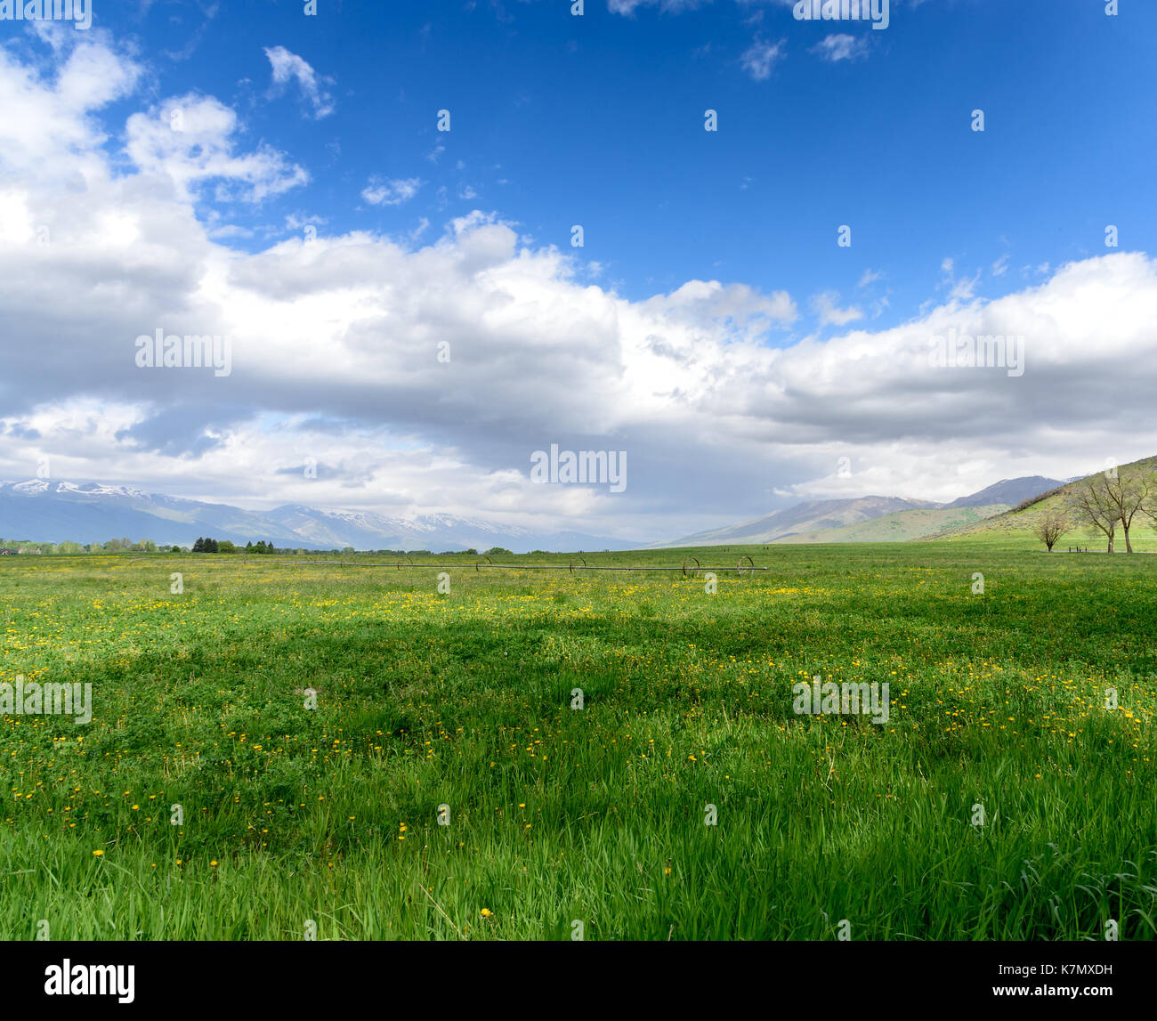 Vast pasture and pasture hi-res stock photography and images - Alamy