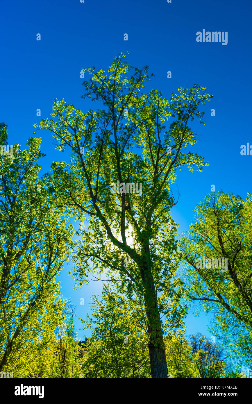 Contment hi-res stock photography and images - Alamy