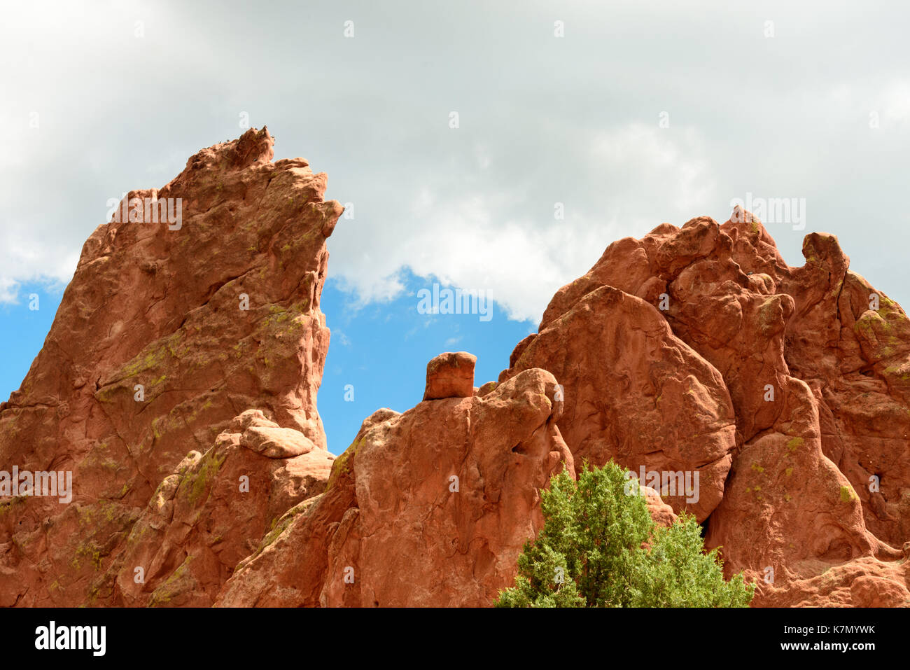 Climbing scenic trees hi-res stock photography and images - Alamy